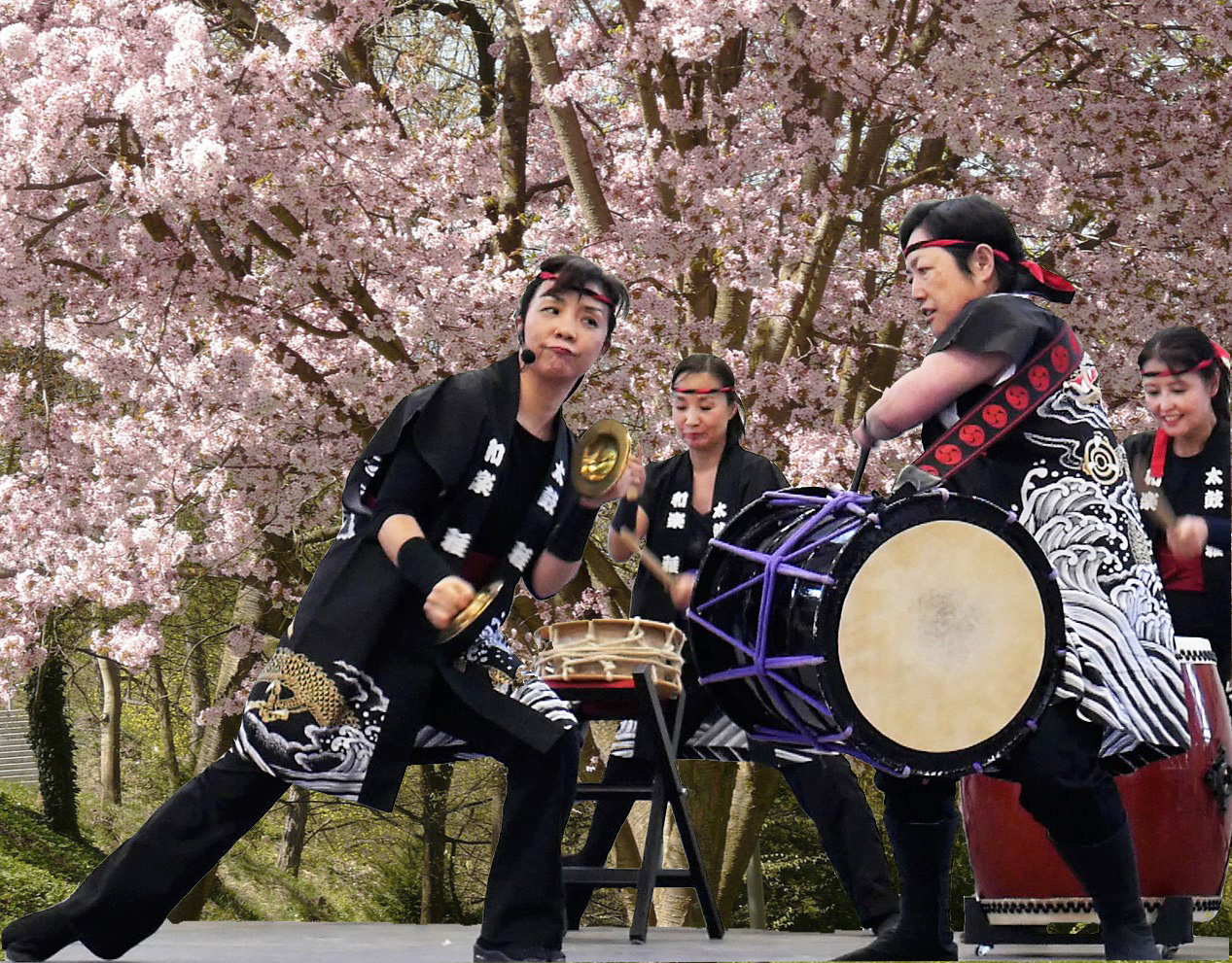 This traditional Japanese Taiko drumming group spreads a very typical authentic festival ...